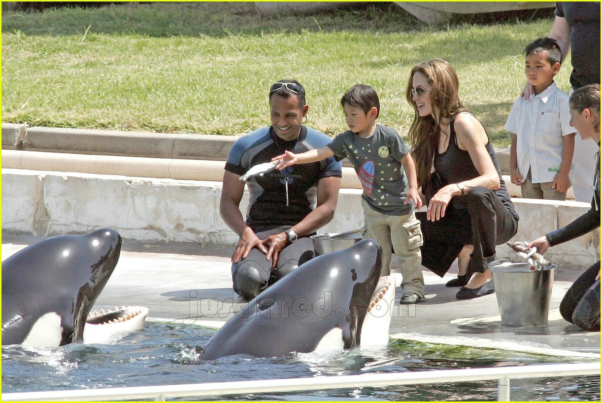 Angelina Jolie and the Killer Whales: Photo 402341 | Angelina Jolie ...