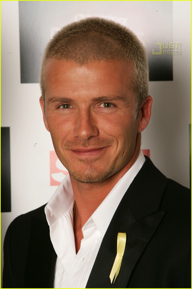David Beckham: Britain's Greatest Ambassador: Photo 183771 | David ...