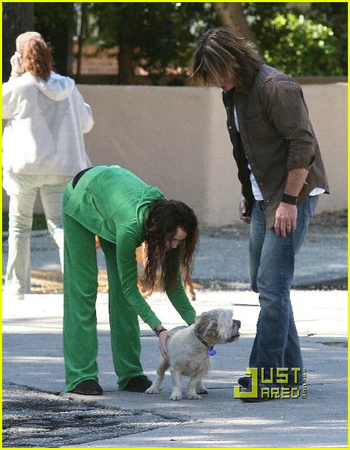 Miley Cyrus Saves a Puppy: Photo 961841 | Photos | Just Jared ...