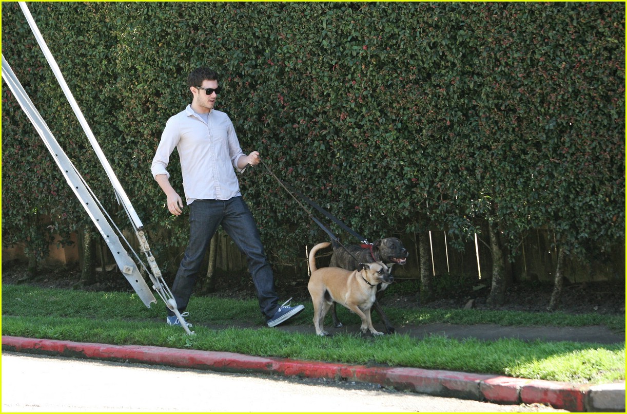 Adam Brody Wags the Dogs: Photo 1023981 | Photos | Just Jared ...