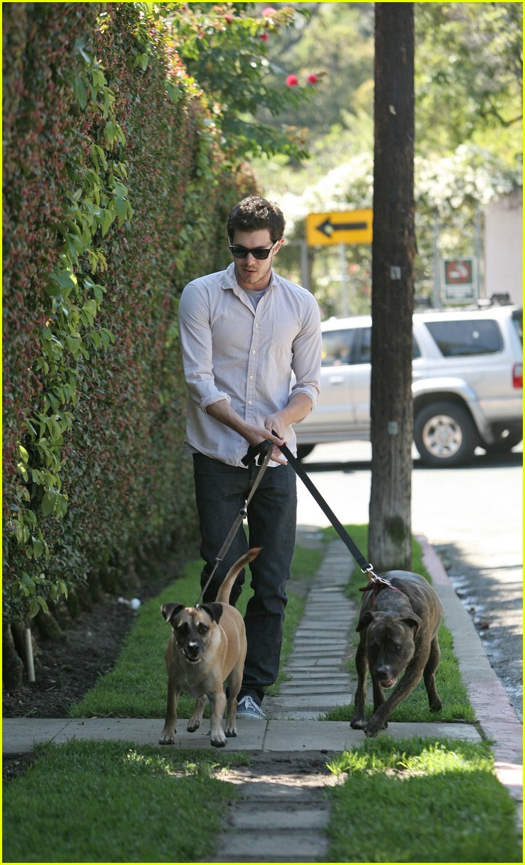 Adam Brody Wags the Dogs: Photo 1024051 | Photos | Just Jared ...