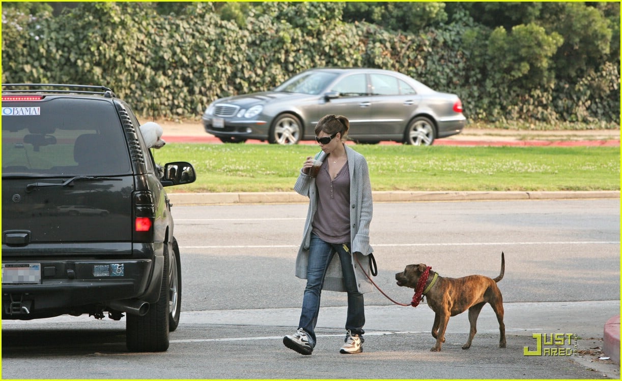 Jessica Biel Prizes Her Pitbull: Photo 1228641 | Photos | Just Jared ...