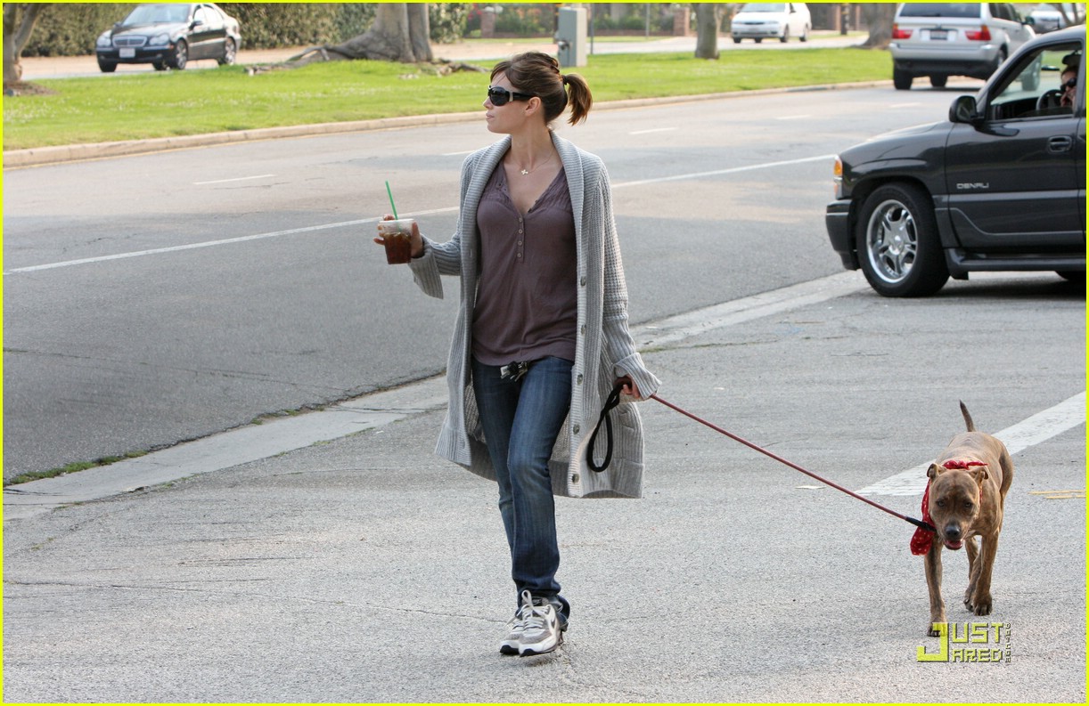 Jessica Biel Prizes Her Pitbull: Photo 1228651 | Photos | Just Jared ...