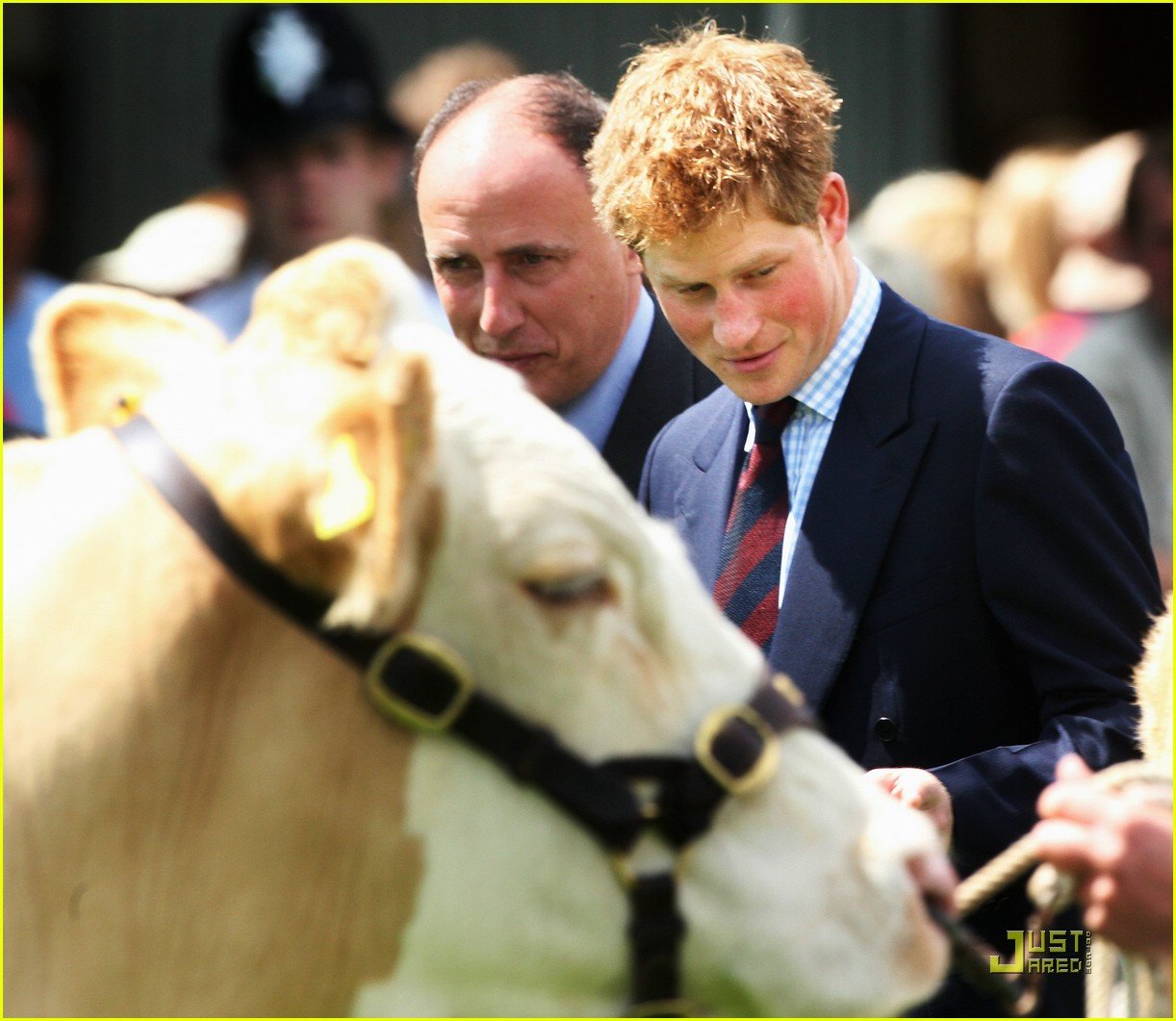 Prince Harry is Agog with Agriculture: Photo 1227771 | Prince Harry ...