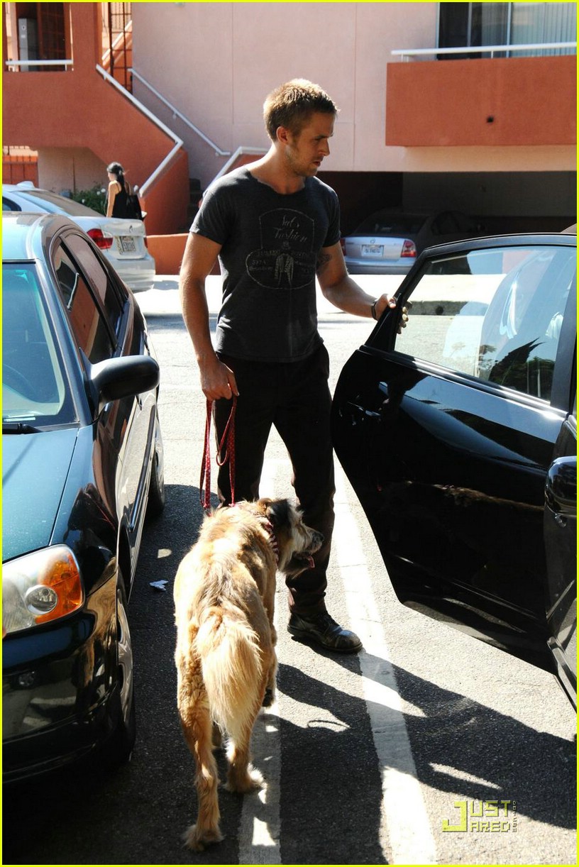 Ryan Gosling's Dog Walk: Photo 1470661 | Photos | Just Jared: Celebrity ...