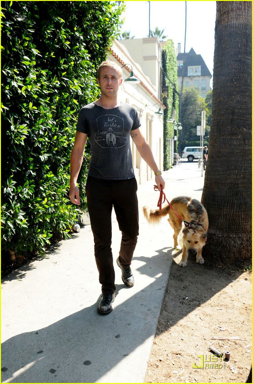 Ryan Gosling's Dog Walk: Photo 1470681 | Photos | Just Jared ...