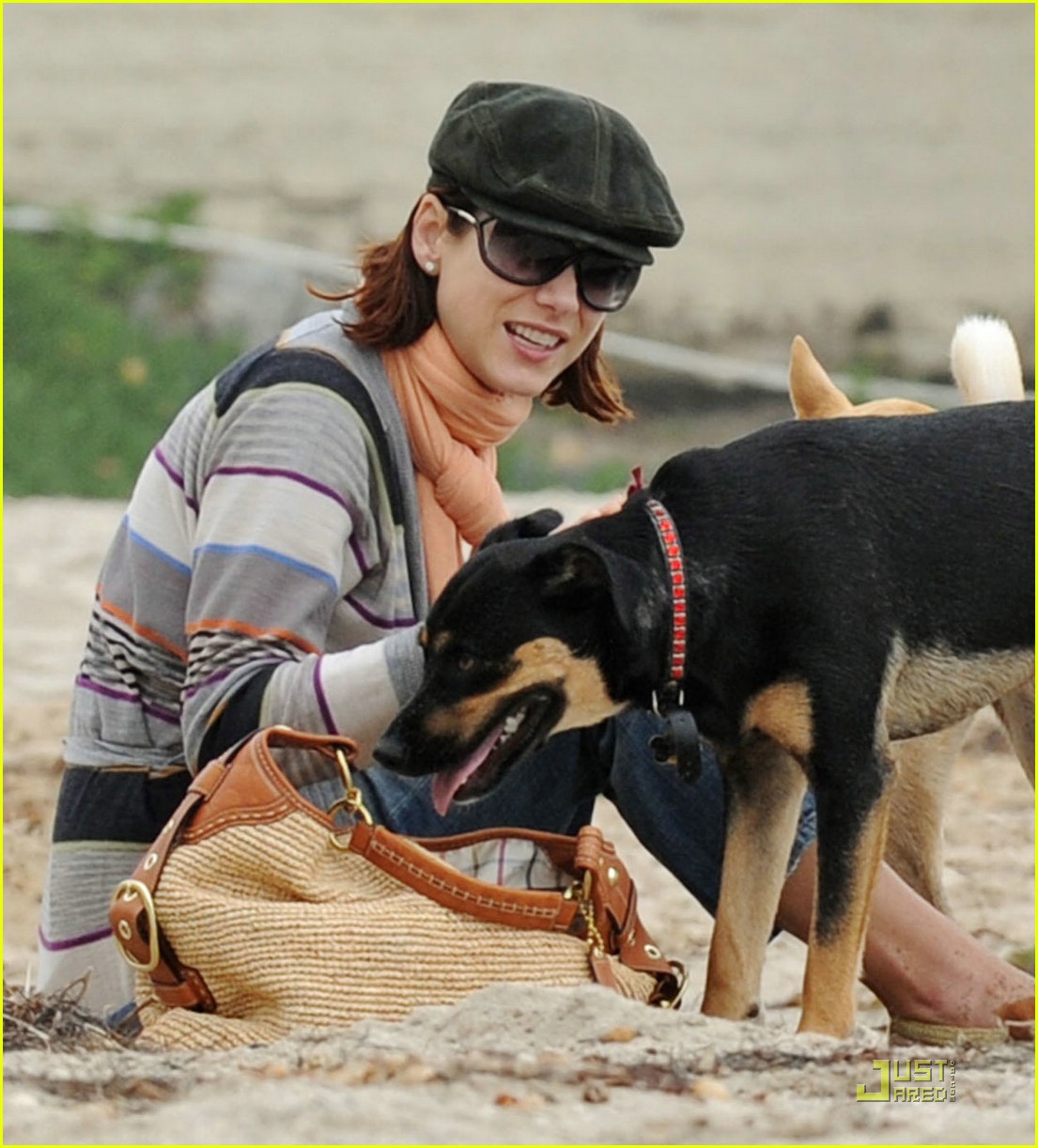 Kate Walsh: Pooch Playtime: Photo 1575051 | Kate Walsh Photos | Just ...