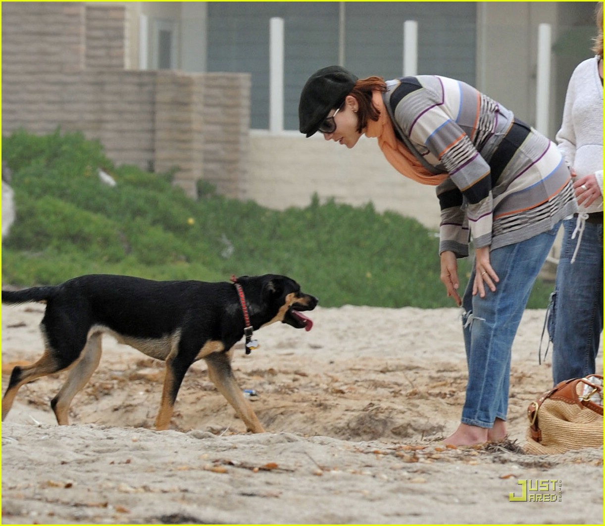 Kate Walsh: Pooch Playtime: Photo 1575071 | Kate Walsh Photos | Just ...