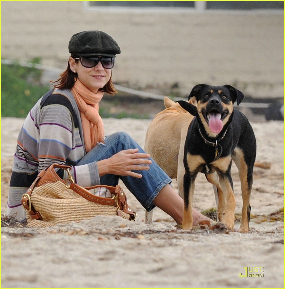 Kate Walsh: Pooch Playtime: Photo 1575121 | Kate Walsh Pictures | Just ...