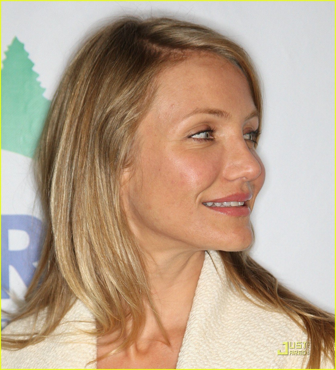 Cameron Diaz Celebrates NRDC: Photo 1880811 | Cameron Diaz Photos ...
