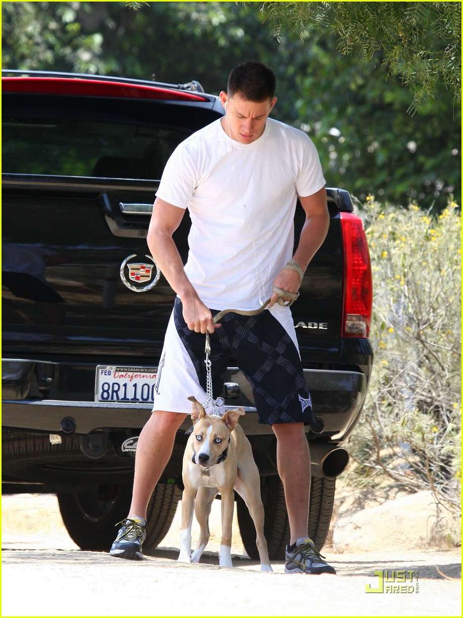 Channing Tatum: Memorial Day Dog Walking!: Photo 1947081 | Channing ...