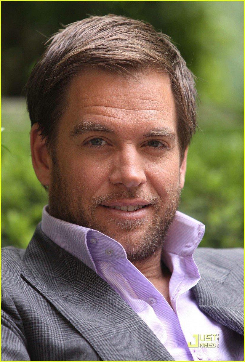 Michael Weatherly is Telefilm Talented: Photo 1914791 | Michael ...