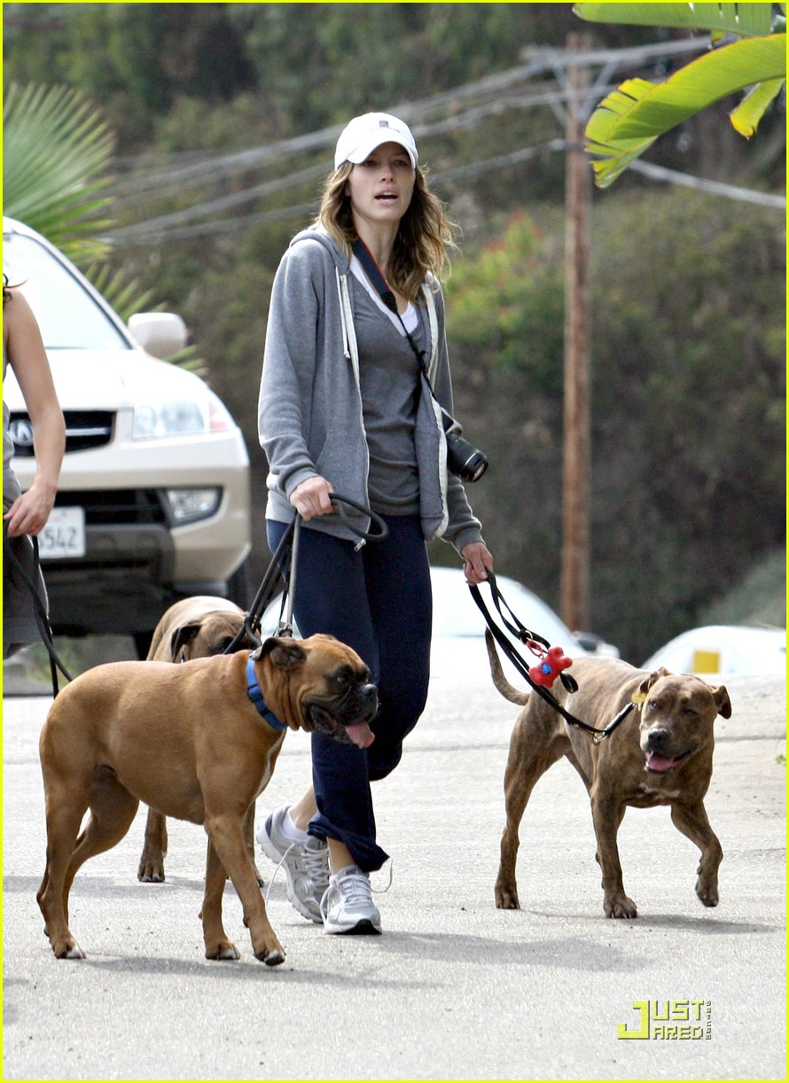 Jessica Biel Is A Deft Dog Walker: Photo 1988321 | Jessica Biel, Justin ...