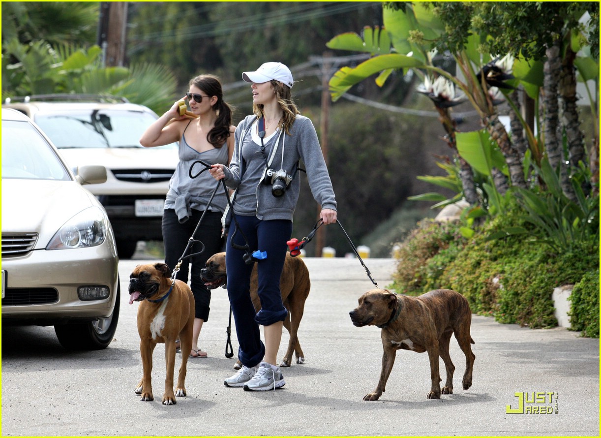 Jessica Biel Is A Deft Dog Walker: Photo 1988341 | Jessica Biel, Justin ...