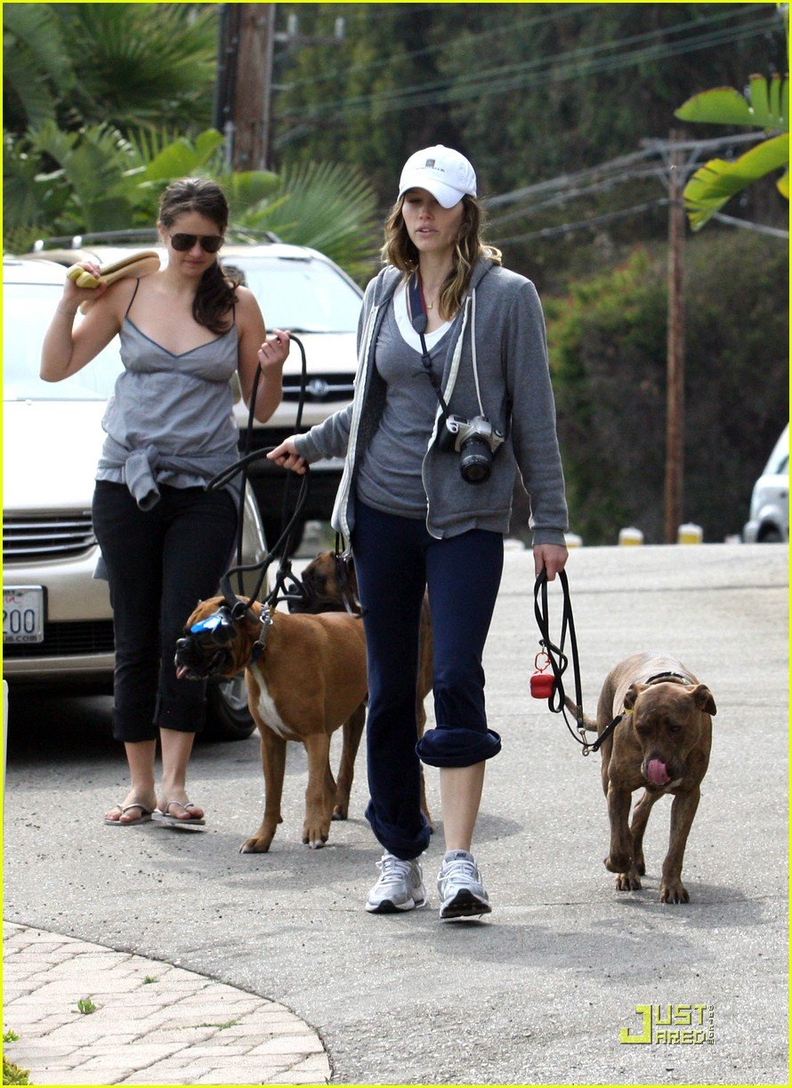 Jessica Biel Is A Deft Dog Walker: Photo 1988351 | Jessica Biel, Justin ...