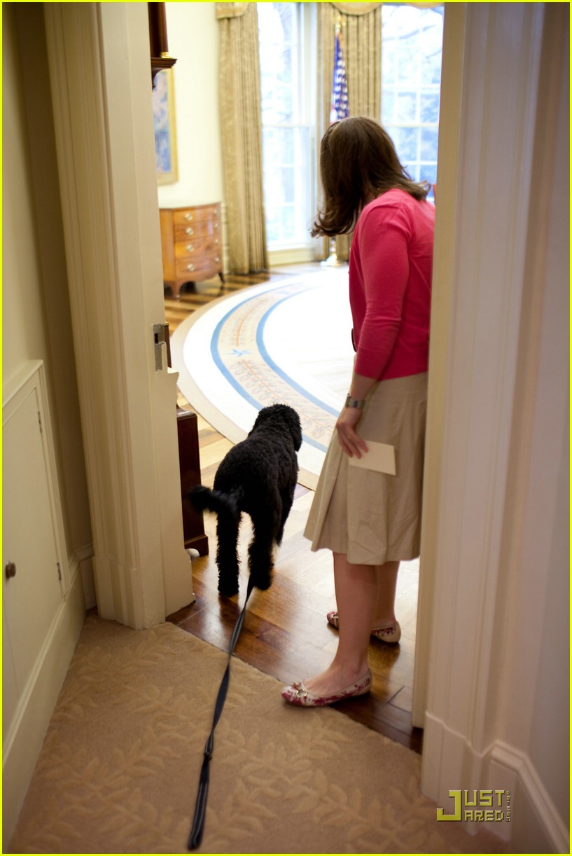 Bo Obama: First Dog Of The United States: Photo 1998871 | Barack Obama ...