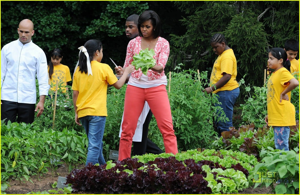Michelle Obama Harvests The White House Kitchen Garden: Photo 2001181 ...