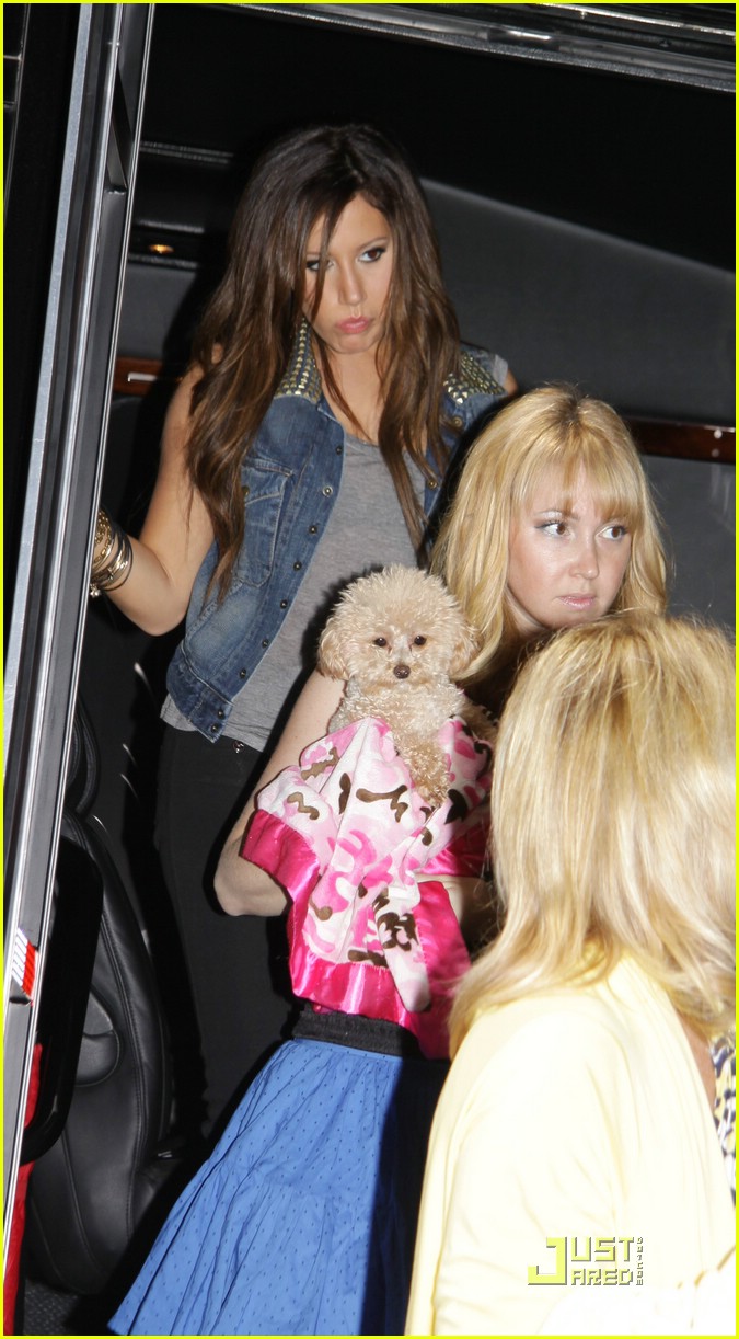 Ashley Tisdale & Emile Hirsch: On With Alexa Chung!: Photo 2083431 ...