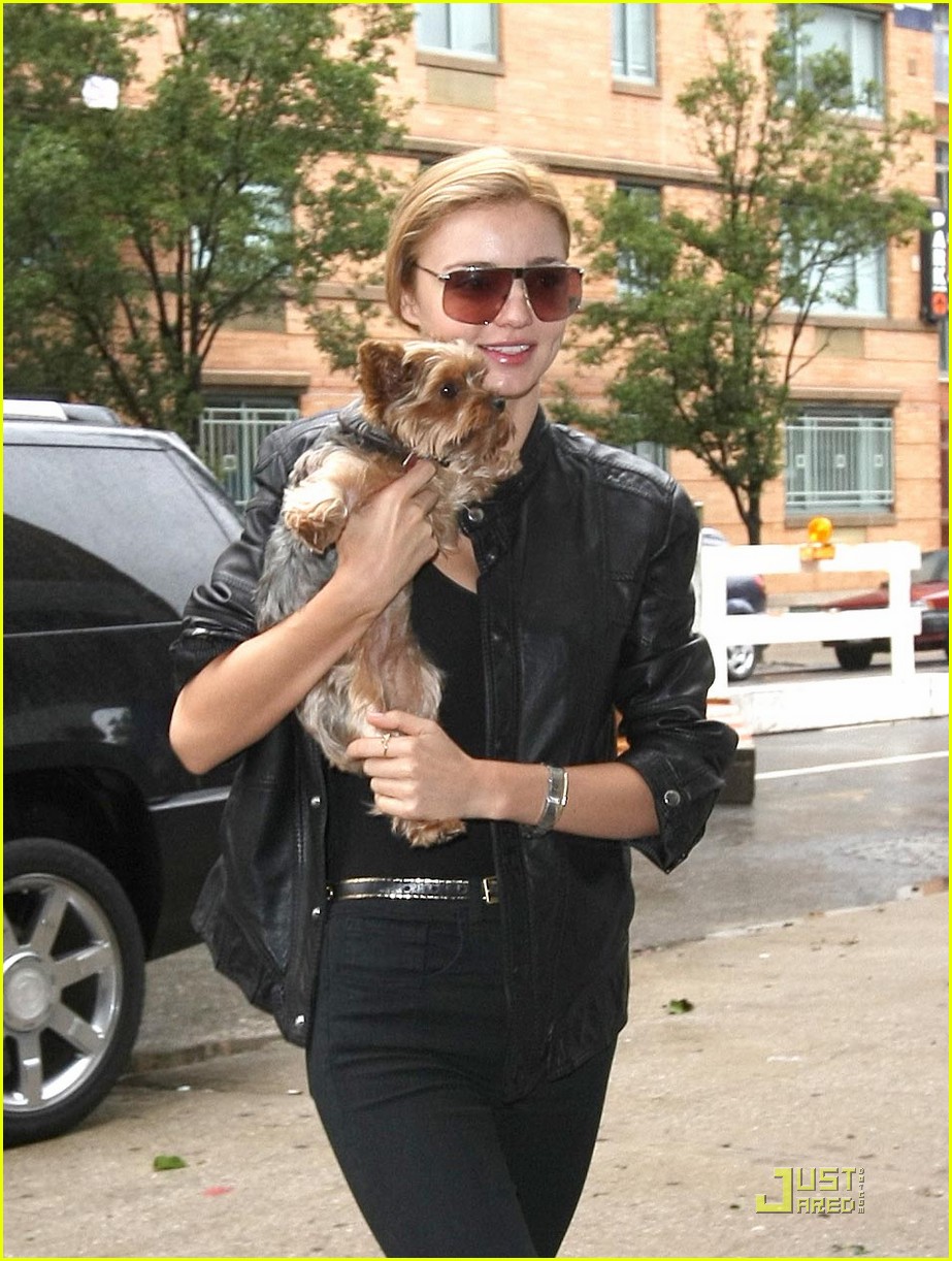Miranda Kerr is a Puppy Yuppie: Photo 2208932 | Miranda Kerr Pictures ...