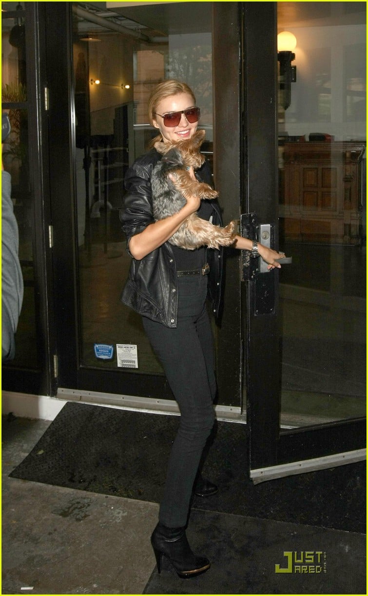 Miranda Kerr is a Puppy Yuppie: Photo 2208962 | Miranda Kerr Photos ...