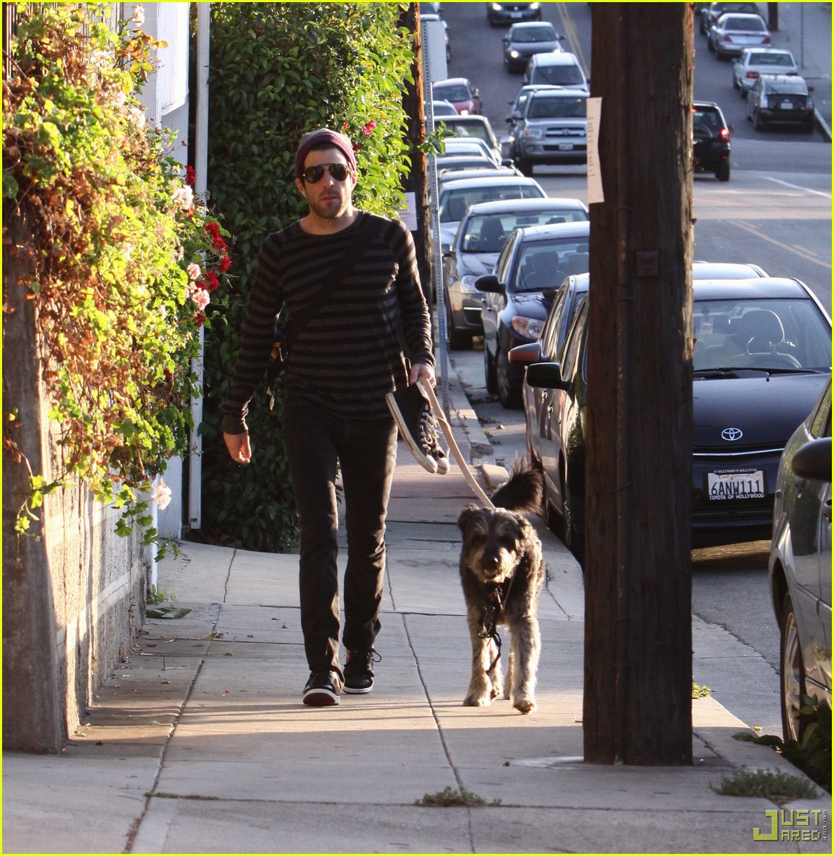 Zachary Quinto Walks His Furry Friend: Photo 2320742 | 00 Pictures ...