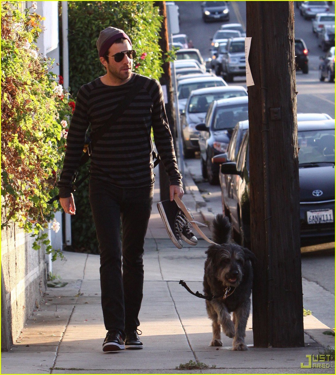 Zachary Quinto Walks His Furry Friend: Photo 2320752 | 00 Photos | Just ...