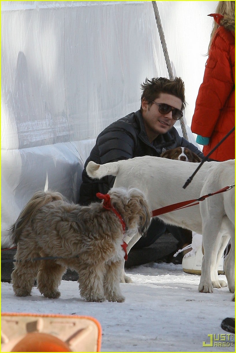 Zac Efron Plays with Pups: Photo 2403082 | Zac Efron Pictures | Just Jared