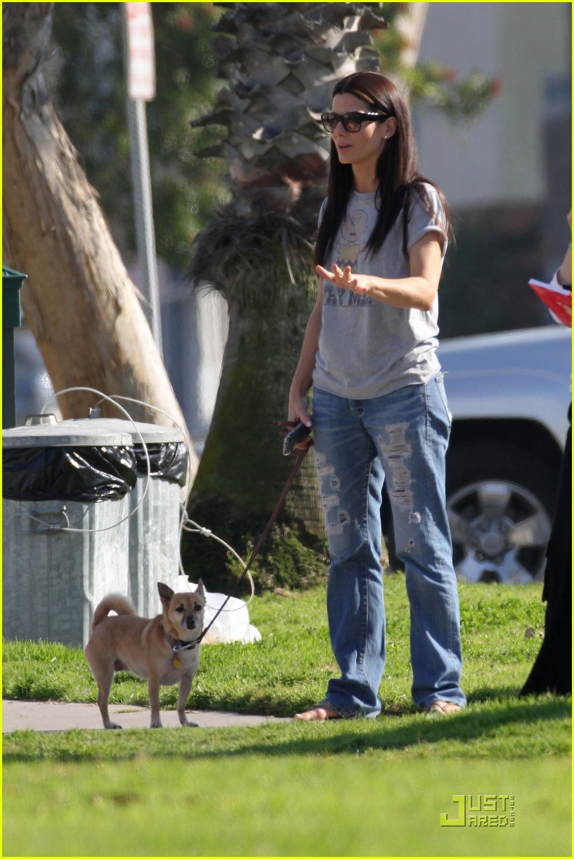 Sandra Bullock Loves Her Three-Legged Pooch: Photo 2425280 | Sandra ...