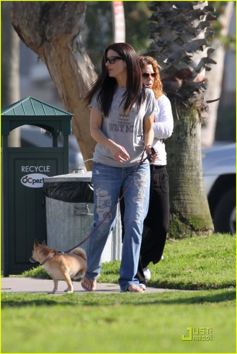 Sandra Bullock Loves Her Three-Legged Pooch: Photo 2425283 | Sandra ...