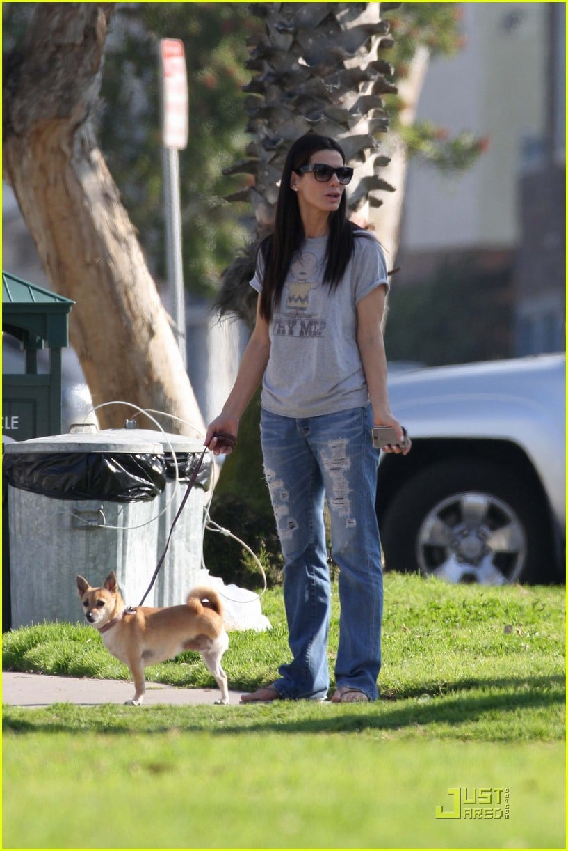 Sandra Bullock Loves Her Three-Legged Pooch: Photo 2425285 | Sandra ...