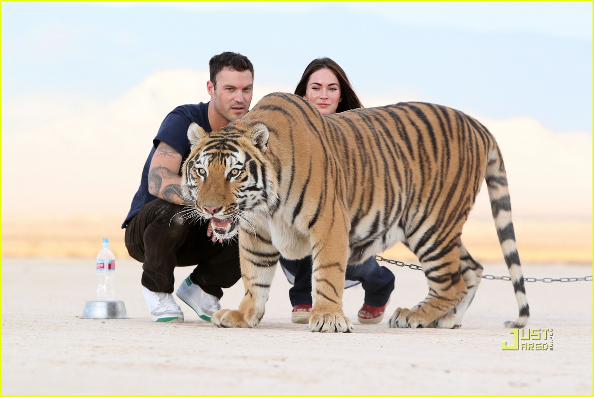 Megan Fox & Brian Austin Green: Tiger Twosome: Photo 2488670 | Brian ...