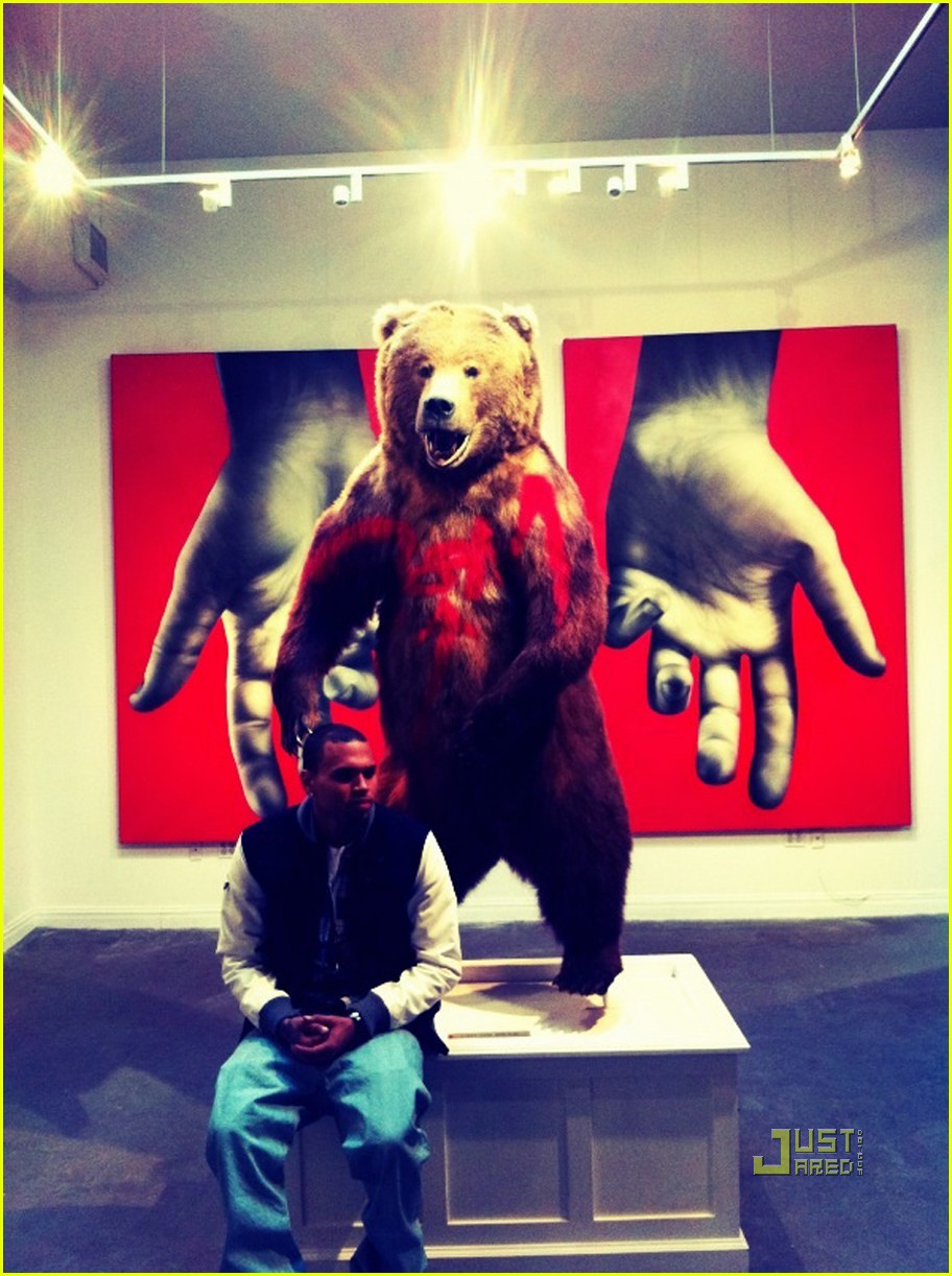 Chris Brown: Kid Zoom Pop-Up Gallery!: Photo 2506126 | Chris Brown ...