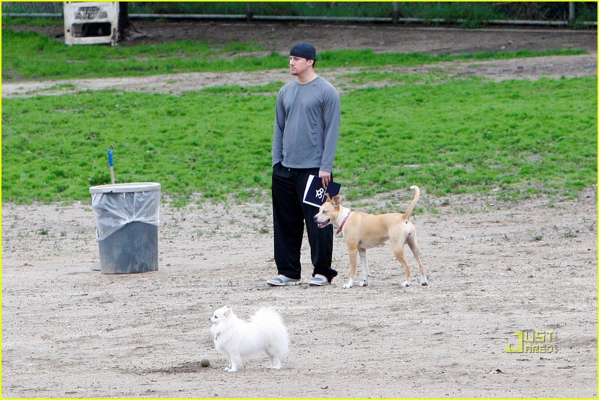 Channing Tatum: Dog Day Afternoon: Photo 2505981 | Channing Tatum ...