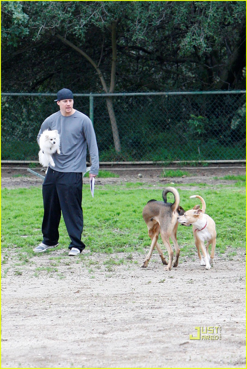 Channing Tatum: Dog Day Afternoon: Photo 2505987 | Channing Tatum ...