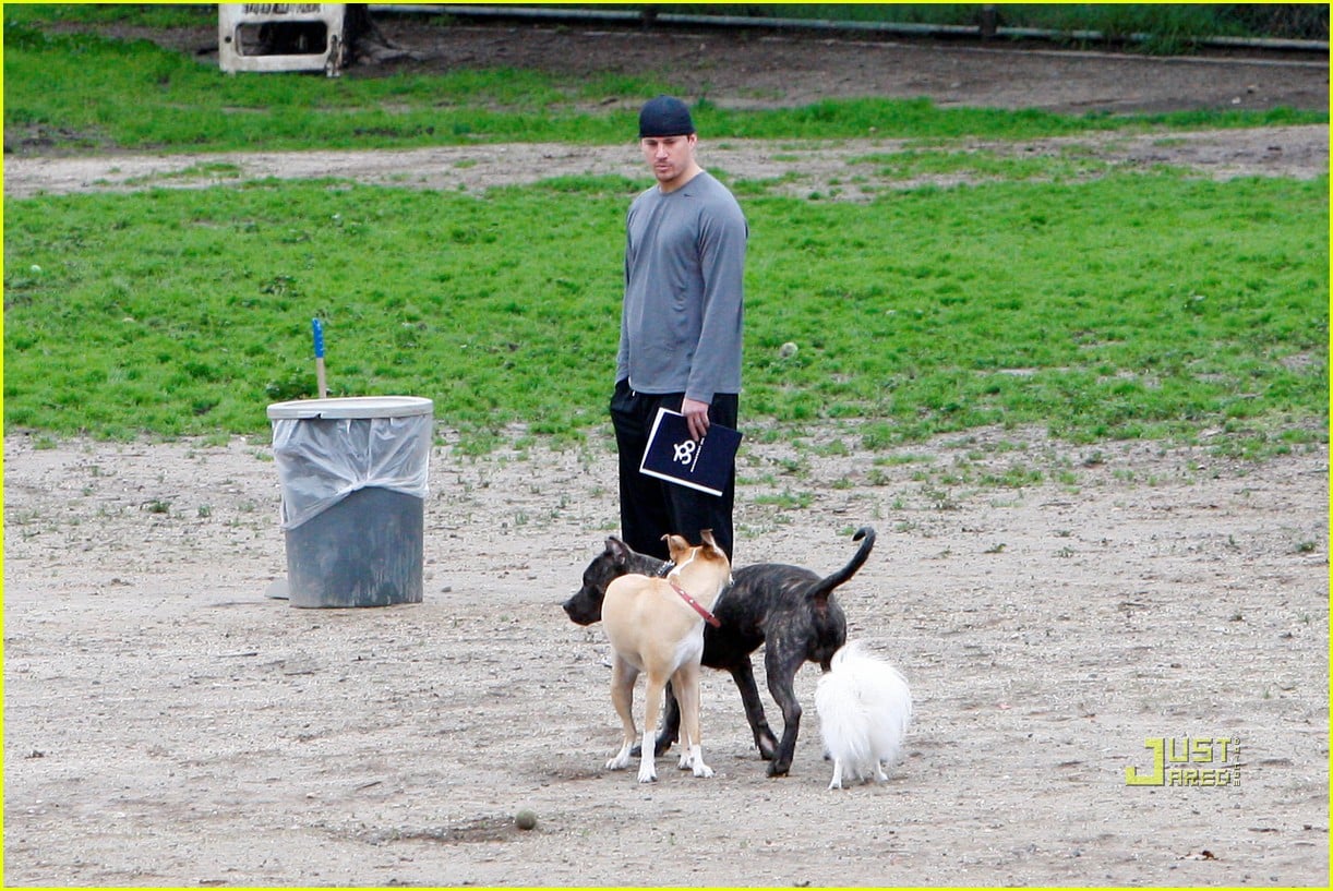Channing Tatum: Dog Day Afternoon: Photo 2505992 | Channing Tatum ...