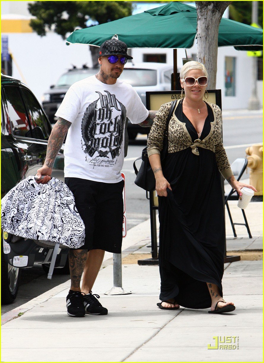 Pink: 'My Life is Snot, Tears, and the Color of Poop': Photo 2553231 ...