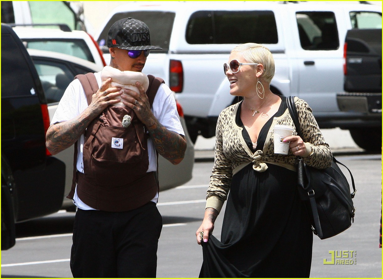 Pink: 'My Life is Snot, Tears, and the Color of Poop': Photo 2553233 ...