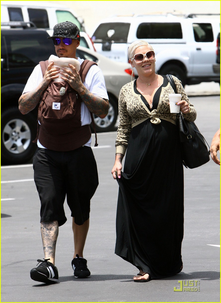 Pink: 'My Life is Snot, Tears, and the Color of Poop': Photo 2553234 ...