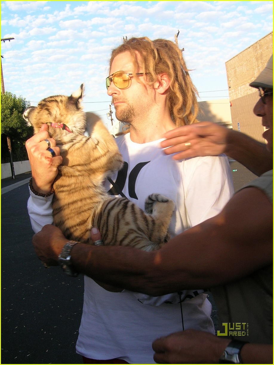Bradley Cooper: Tiger Cub Cuddling!: Photo 2556716 | Bradley Cooper ...