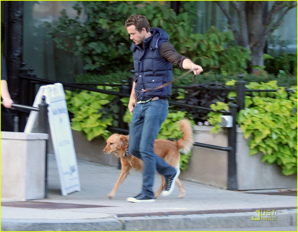 Ryan Reynolds: Evening Walk with Baxter!: Photo 2582427 | Ryan Reynolds ...