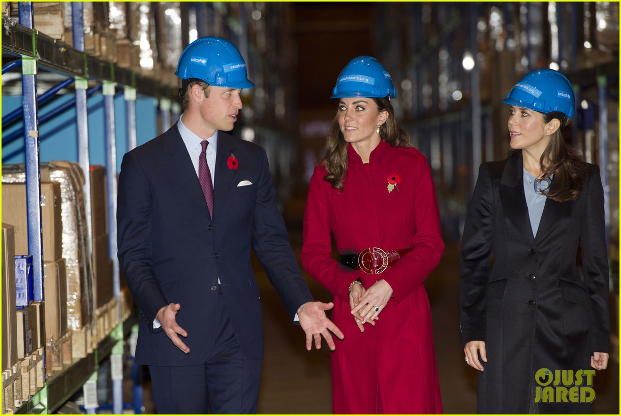 Prince William & Duchess Kate: Unicef Centre Visit in Denmark: Photo ...