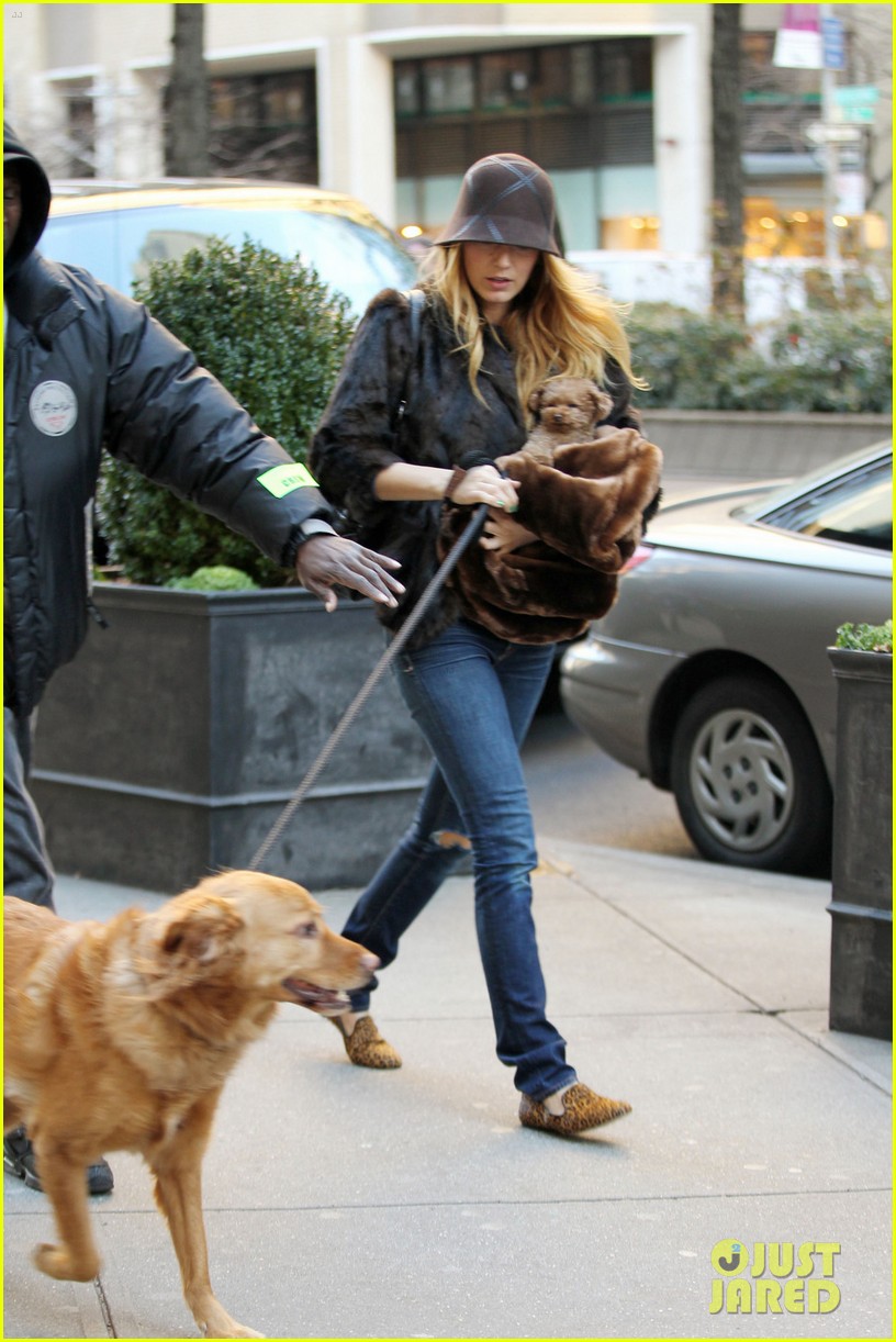 Blake Lively Spends Her Weekend With Ryan Reynolds: Photo 2609773 ...