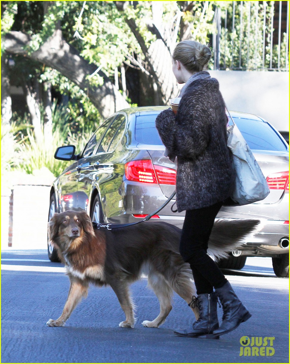 Amanda Seyfried: Hank Azaria & Chris Noth Join 'Lovelace': Photo ...