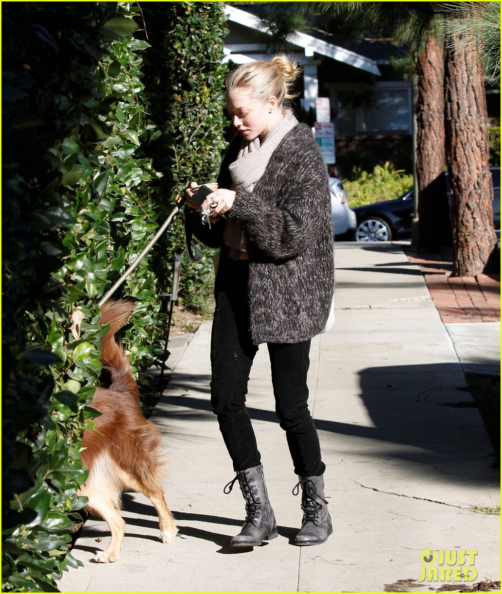 Amanda Seyfried: Hank Azaria & Chris Noth Join 'Lovelace': Photo ...