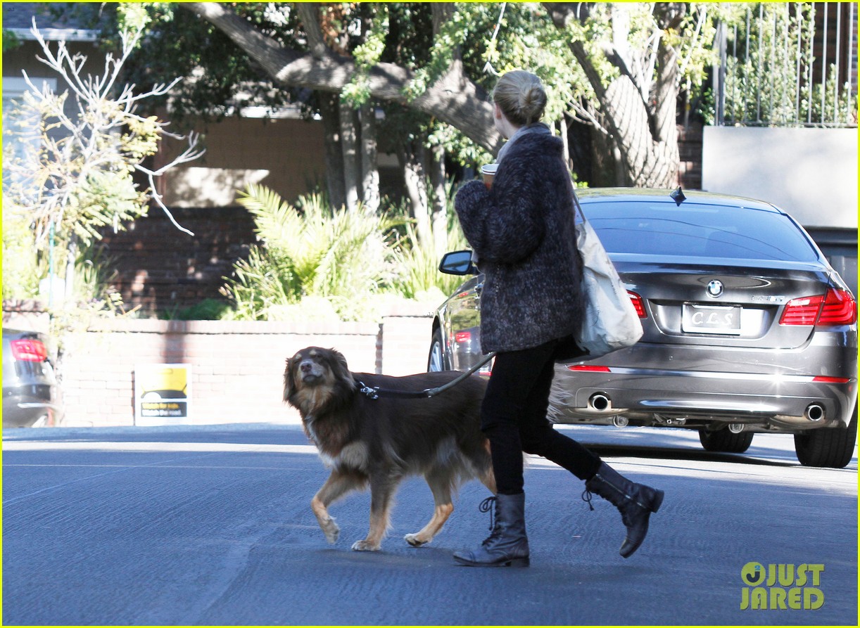 Amanda Seyfried: Hank Azaria & Chris Noth Join 'Lovelace': Photo ...