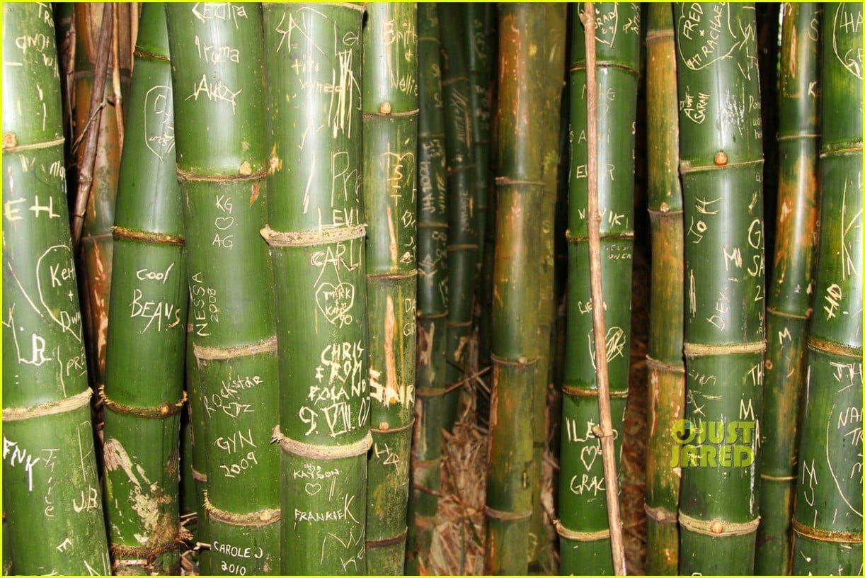 Photo: beyonce tumblr photo album 30 | Photo 2645547 | Just Jared