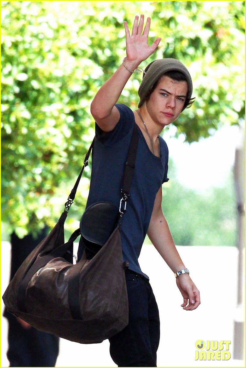 Harry Styles' $200,000 Ferrari: Just a Rental Car!: Photo 2679860 ...