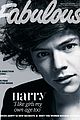 One Direction Covers 'Fabulous UK' Magazine: Photo 2727876 | Magazine ...