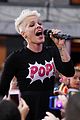 Pink: 'Today Show' Performance & Tour Announcement!: Photo 2724299 ...