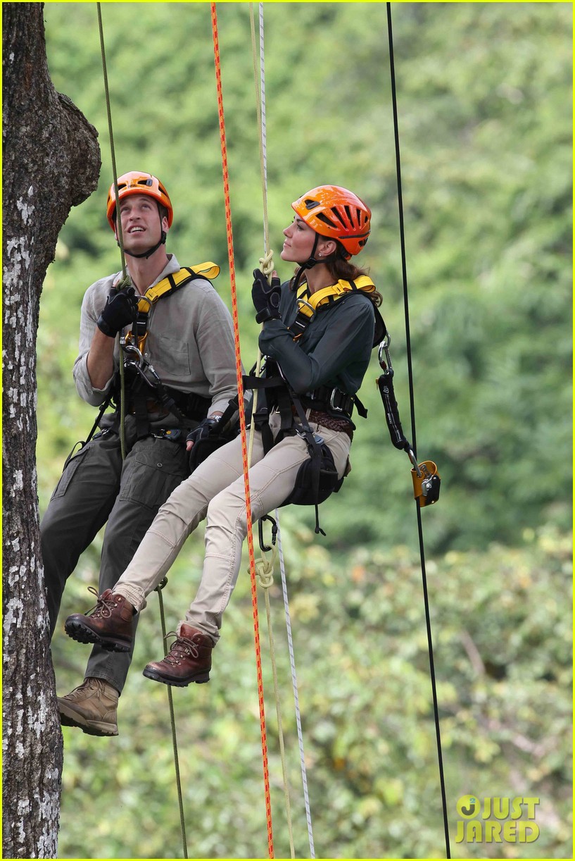 Prince William & Duchess Kate: Hoisted Up A 130-Foot Tree In The ...